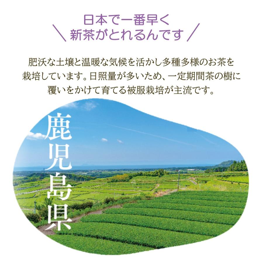 伊藤園 お茶 緑茶 茶葉 新茶 鹿児島 艶緑 70g 2本セット 煎茶 日本茶 鹿児島県産 産地 水出し可 : TEASHOP-ITOEN Yahoo!店 - 通販 - Yahoo!ショッピング