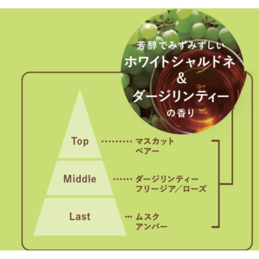 2袋セット 限定 ReWEAR 再生柔軟剤 ホワイトシャルドネ＆ダージリンティーの香り つめかえ用 広島倉庫 : Tech-In ヤフー店 - 通販 - Yahoo!ショッピング