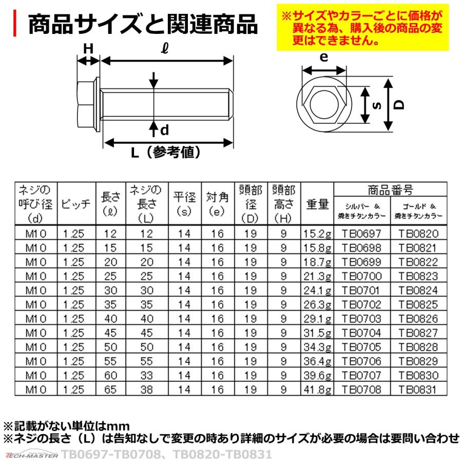 六角ボルト M10×25mm P1.25 ヘキサゴン ステンレス シルバー＆焼きチタンカラー 1個 TB0700 :TB0700:TECH-MASTER - 通販 - Yahoo!ショッピング