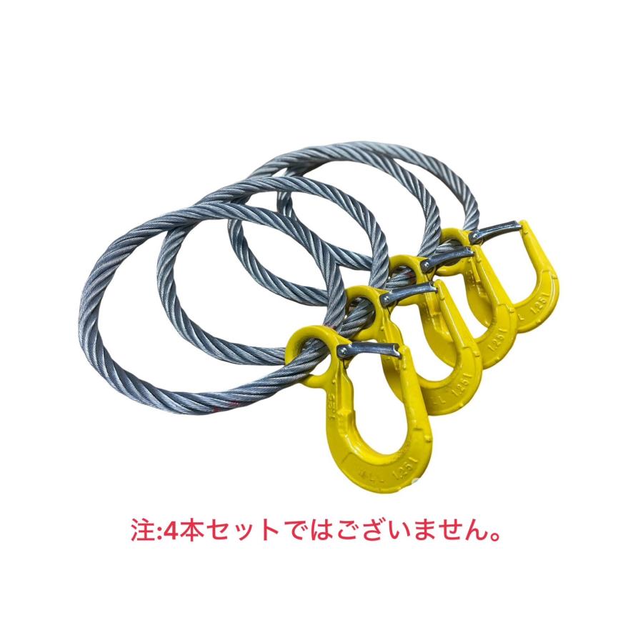 エンドレス(グロメット加工) フック付(0.63t) 玉掛けワイヤ 台付けワイヤ ワイヤ径9mm【3部】×直径200mm〜1000mm【選べるサイズ】 : テックツール - 通販 ...
