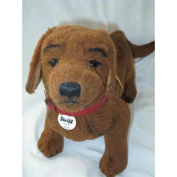 シュタイフ/Steiff★「Waldi ダックスフンド」★35cmアルパカ製 : 00472 : Replace テディベアショップ - 通販 ...