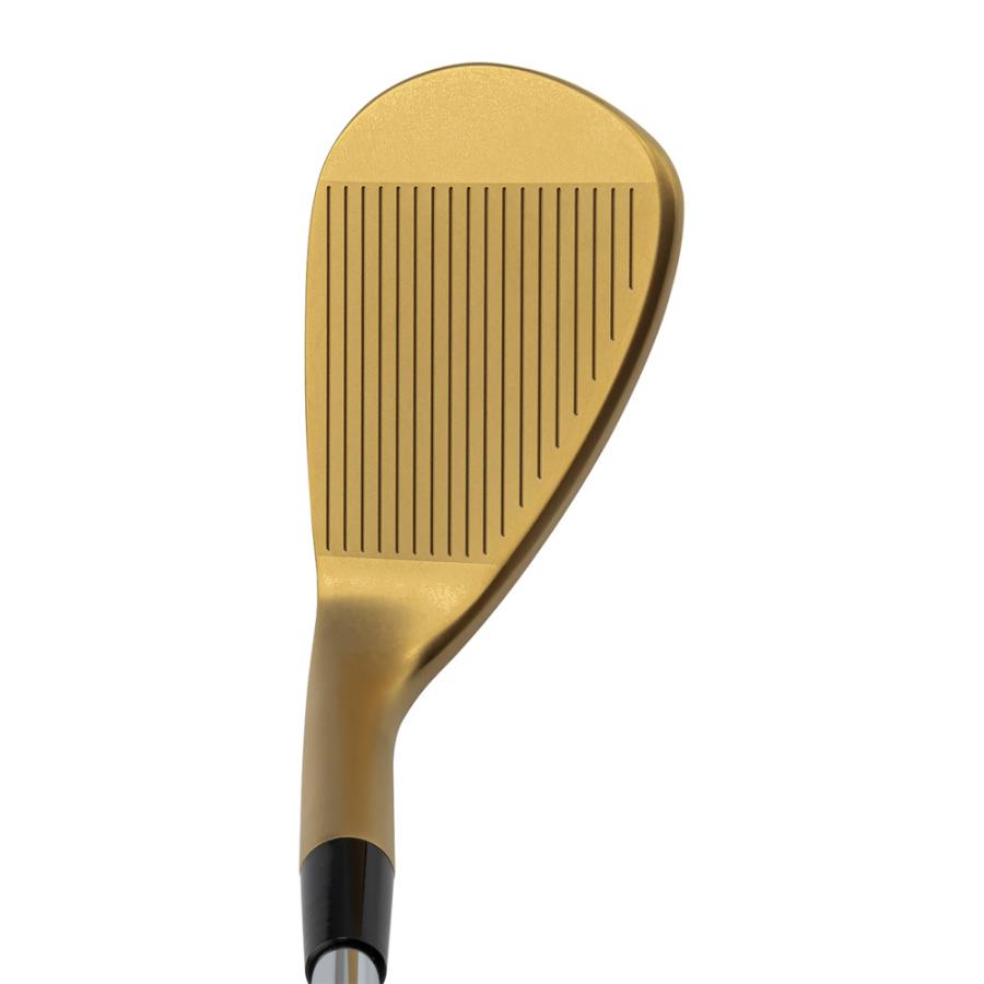 【ヘッド単体】Kasco DOLPHIN WEDGE DW-123 Gold キャスコ ドルフィンウエッジ kasco（キャスコ） ヘッド単体 Kasco DOLPHIN WEDGE DW-123 Gold