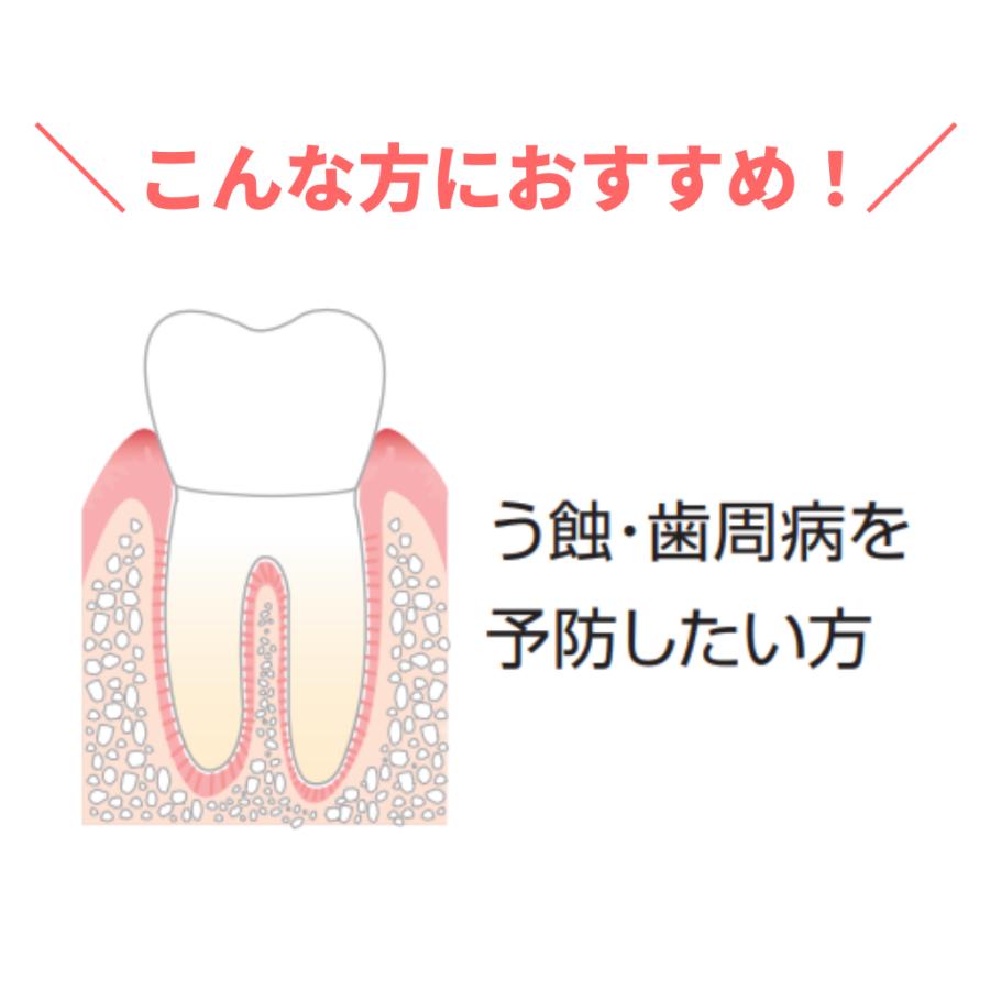 コンクール ジェルコートF 90g 3本セット／ウェルテック : TEETH TEETH MARKET - 通販 - Yahoo!ショッピング