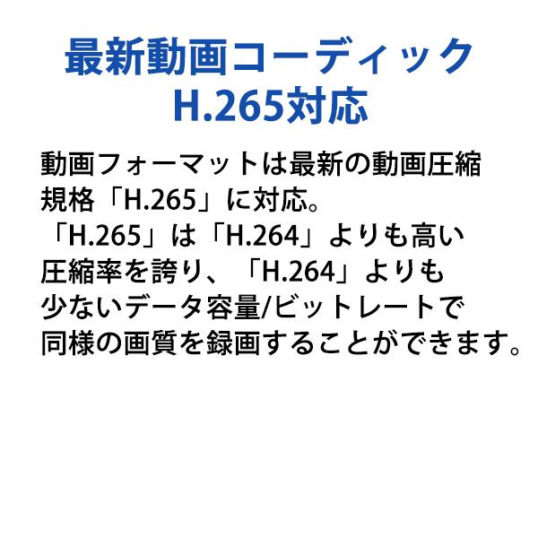 PROSPEC ハイビジョンレコーダー (プロスペック) HVE705★ : あっと!テラフィ ヤフー店 - 通販 - Yahoo!ショッピング
