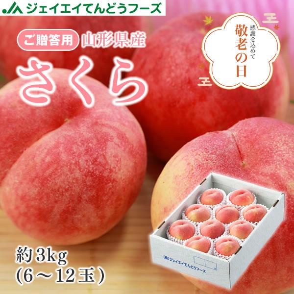 贈答用 『敬老の日』 ギフト 山形県産 白桃 さくら 約3kg(6〜12玉) もも 【9月5日頃より発送】 : JAてんどうフーズ うまいもの通販 - 通販 - Yahoo!ショッピング