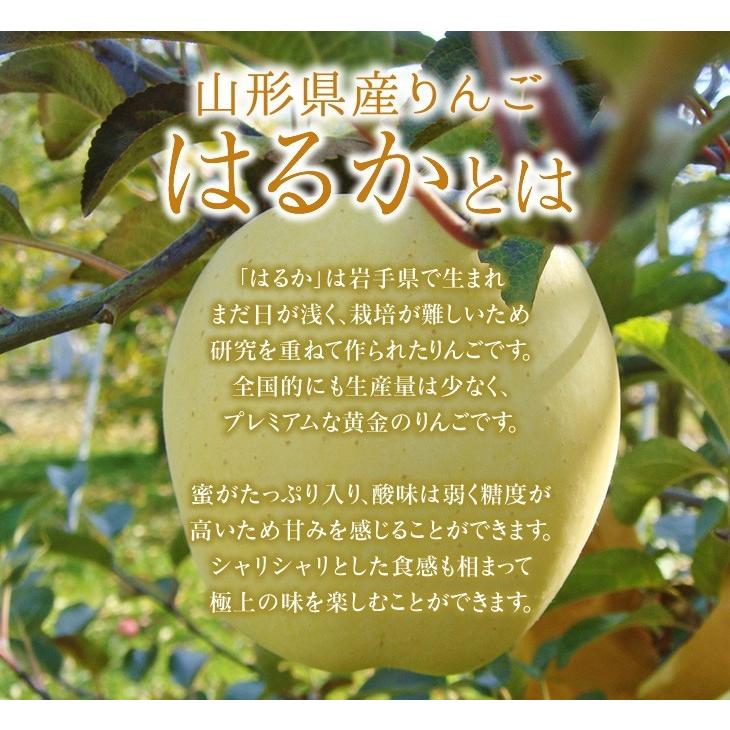 ギフト 送料無料 りんご JAてんどう 山形県産りんごはるか 約2kg(玉数おまかせ) ※一部地域は別途送料追加 のし対応 糖度15度以上 ...