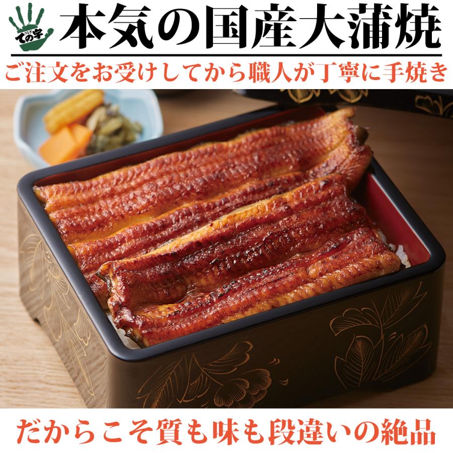 ての字 うなぎ 鰻 国産 プレゼント ギフト 蒲焼 紀州備長炭 450g（150g×3尾） 木箱入り 送料無料 手焼き : 創業文政十年うなぎ ...