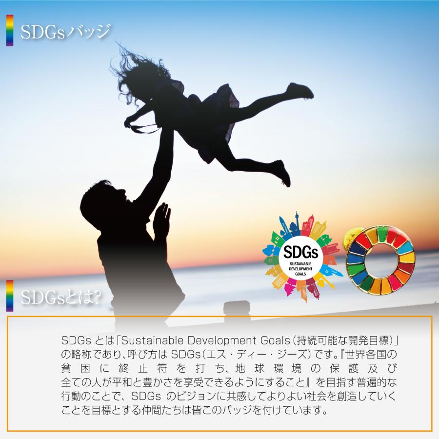 SDGs バッジ ピンバッジ 1個 ゴールド シルバー sdgsバッジ 小さい 26mm きれい 国連 地域環境 保護 : H2brothers - 通販 - Yahoo!ショッピング