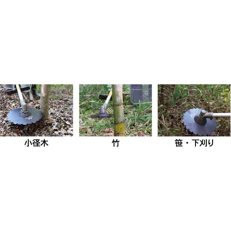 三陽金属 0340 刈払機用回転刈刃 無双クリアソー 24TX225X1.8X25.4 :4984037003400:鉄人SHOP - 通販 - Yahoo!ショッピング