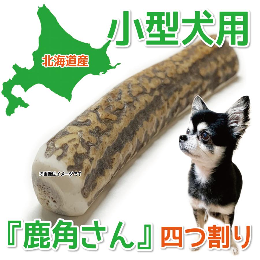 鹿の角 小型 犬 用 鹿角さん 四つ割り 1本 天然 無添加 北海道産 鹿の角 小型 犬 用 鹿角さん 四つ割り 1本 天然 無添加 北海道産