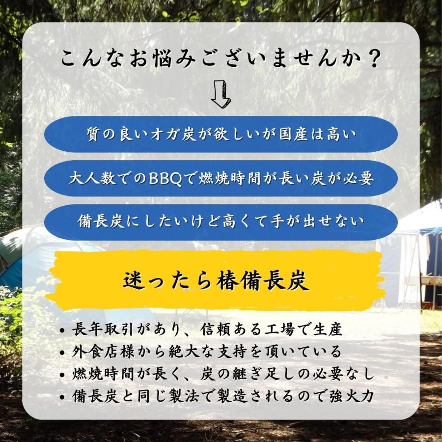 TFS 椿備長炭 インドネシア産 オガ炭 (オガタン) 10kg 1箱- BBQ用備長炭 キャンプ炭 七輪用炭 業務用 バーベキュー用 煙少ない : トータルフーズシステム - 通販 ...