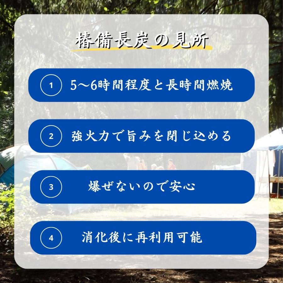 TFS 椿備長炭 インドネシア産 オガ炭 (オガタン) 10kg 1箱- BBQ用備長炭 キャンプ炭 七輪用炭 業務用 バーベキュー用 煙少ない : トータルフーズシステム - 通販 ...