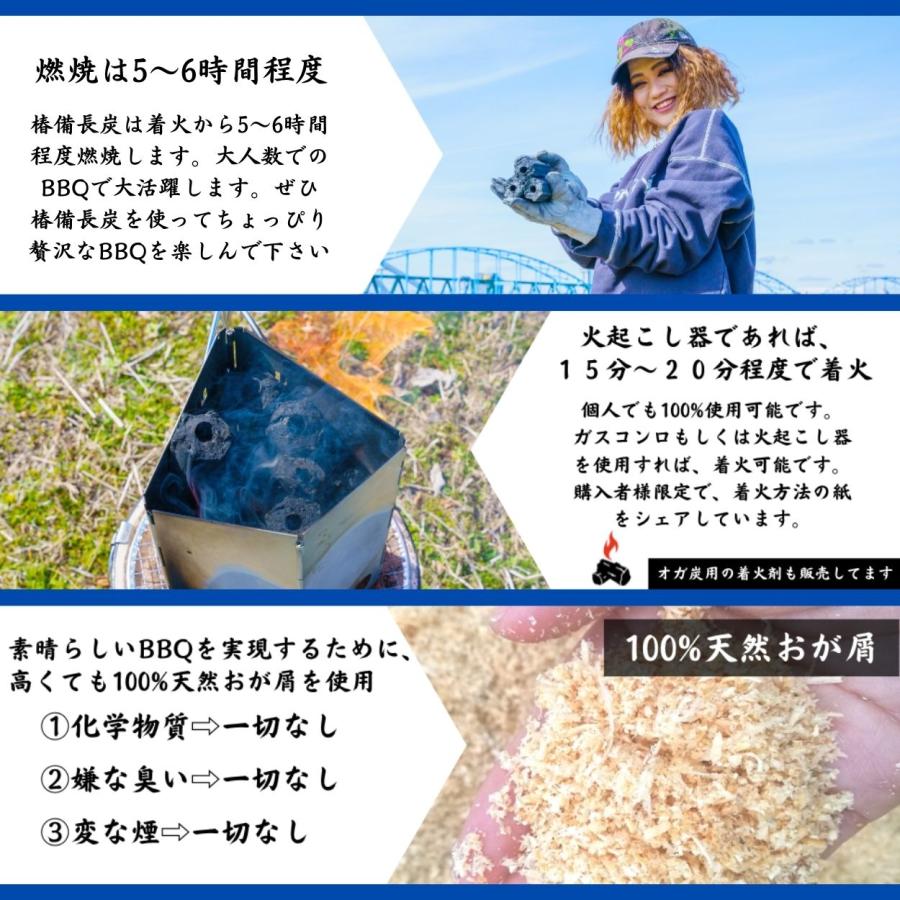 TFS 椿備長炭 インドネシア産 オガ炭 (オガタン) 10kg x 3箱 - BBQ用備長炭 キャンプ炭 七輪用炭 業務用 バーベキュー用 煙少ない : トータルフーズシステム - 通販 ...