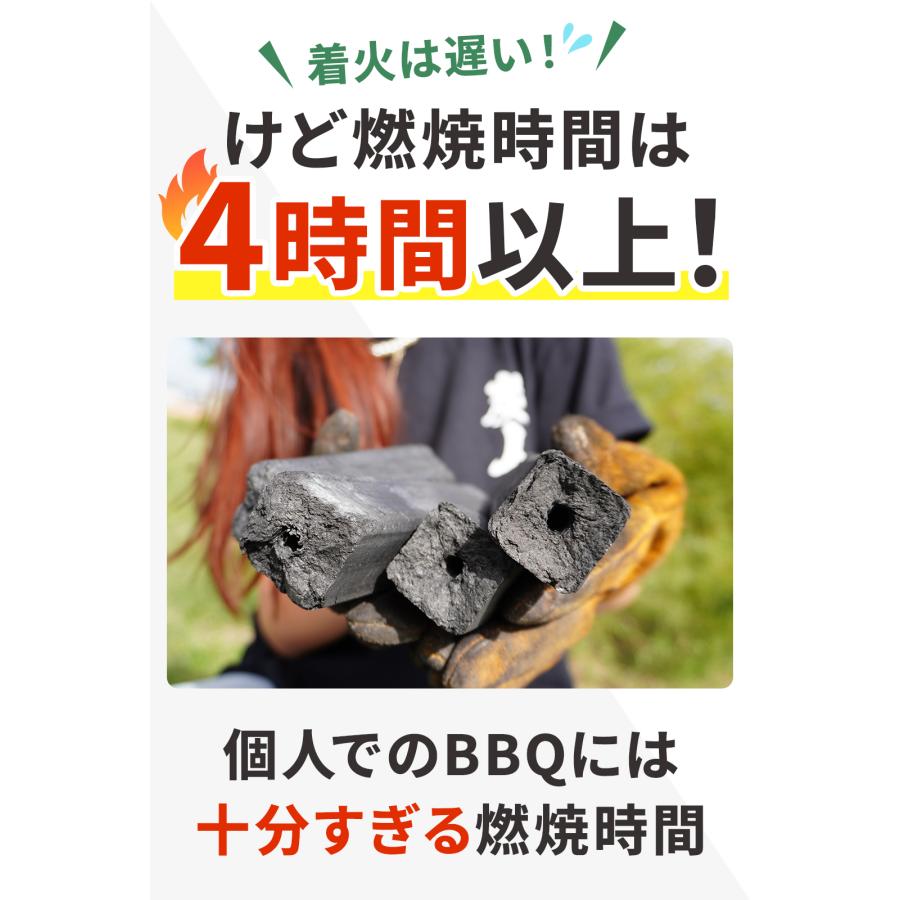 TFS 松葉備長炭 中国産 オガ炭（オガタン）10kg 1箱- BBQ用備長炭 キャンプ用炭 七輪用炭 バーベキューコンロ用 業務用 売上No.1 : トータルフーズシステム - 通販 ...