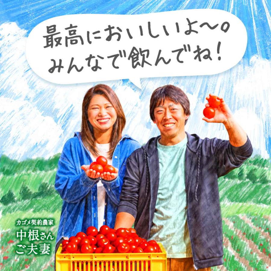 えひめ飲料 【数量限定】【2024】カゴメ トマトジュース PREMIUM 食塩無添加 720ml まとめ買い(×15) | トマト プレミアム ジュース 100% : スーパーフジの通販 ...