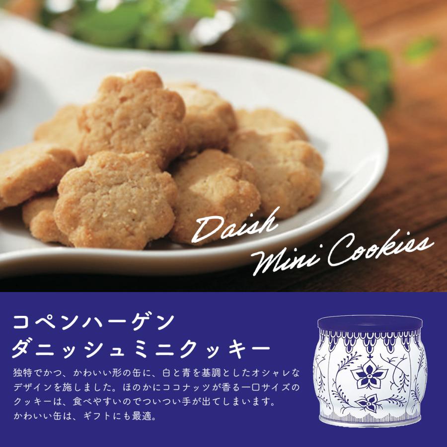 コペンハーゲン ダニッシュ チョコチップ ミニクッキー 250g | 常温