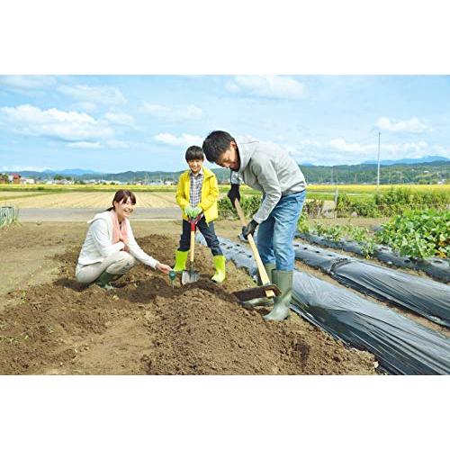 高儀Takagi 簡易土壌酸度計 水分測定機能付き : リユース店three-swings - 通販 - Yahoo!ショッピング