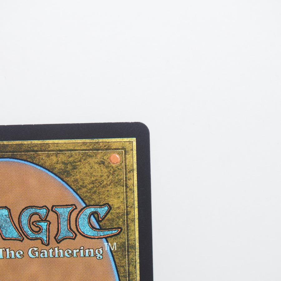 ウィザーズ・オブ・ザ・コースト MAGIC The Gathering MTG 新緑の地下墓地 M 0118 SPG★JP ドラゴンスケイルFoil カード ∴WU3373 : スリフト ...