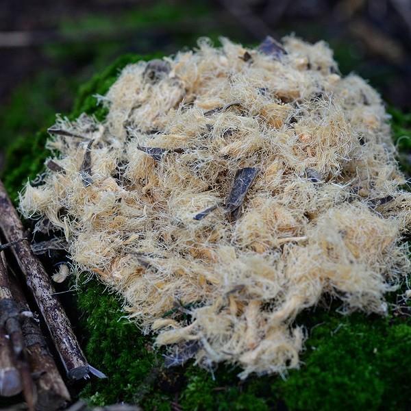 PROCAMPTEK プロキャンプテック FAT ROPE STICK ファットロープスティック :PCT002:thrive.com ...