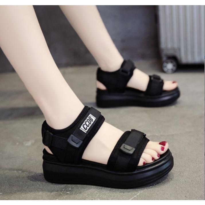 スポーツサンダル サンダル レディース ダッドシューズ 厚底 夏 ウェッジソール 美脚 ビーチサンダル :yyt-524-ty189:TINSEIヤフー店 - 通販 - Yahoo!ショッピング