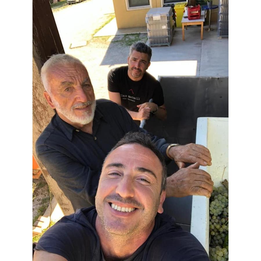 クラーラ・マルチェッリ ぺキウス 2022／CLARA MARCELLI PEKIUS : Tipsys wine and grocery ...