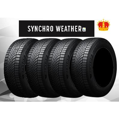DUNLOP ダンロップ タイヤ SYNCHRO WEATHER (シンクロ ウェザー) 185/65R15 92H XL 4本セット オールシーズンタイヤ : タイヤプリンス - 通販 ...