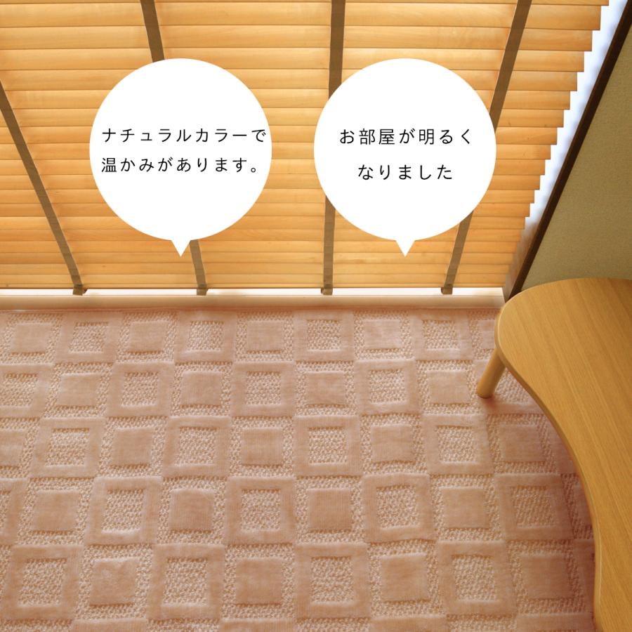Tsujikawa カーペット 6畳 日本製 絨毯 抗菌防臭 ホスタ 261×352cm 江戸間 6畳用 6帖 ベージュ 長方形 辻川産業株式会社 : Tsujikawa - 通販 ...