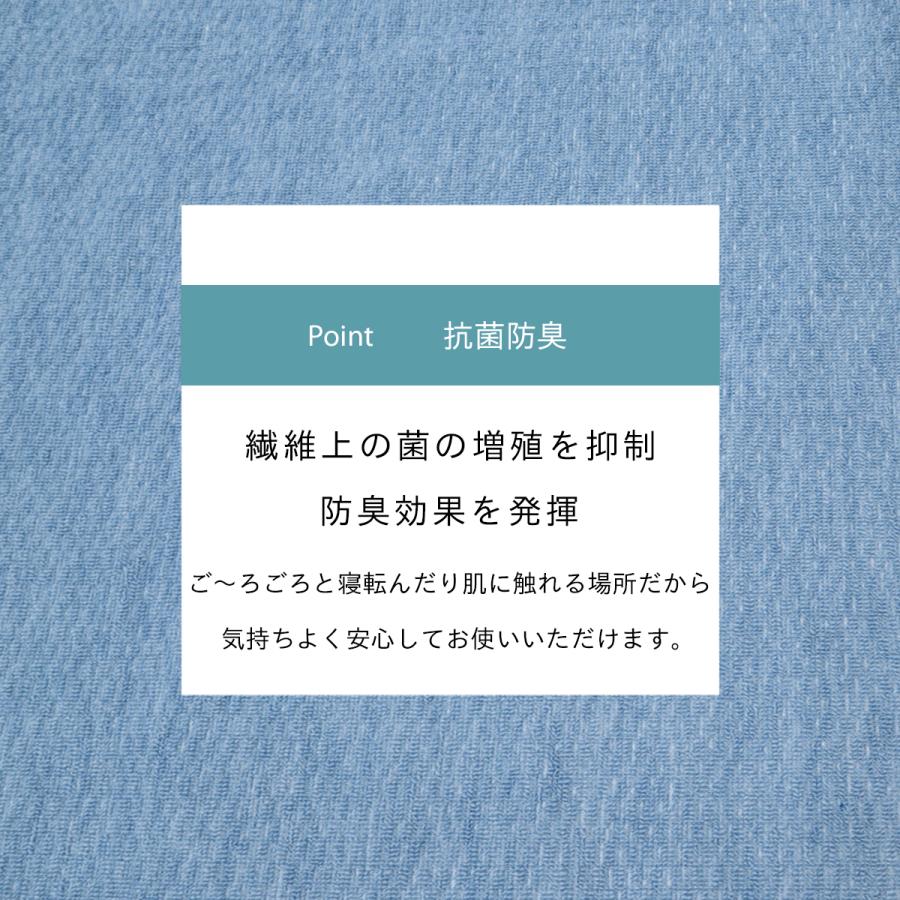 Tsujikawa カーペット 8畳 日本製 抗菌防臭 軽量薄手 ジェミニ 352×352cm 江戸間 8畳用 ブルー 辻川産業株式会社 : Tsujikawa - 通販 - Yahoo!ショッピング