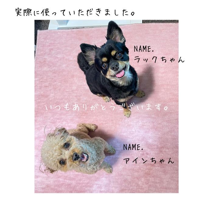 防ダニ カーペット 江戸間 6畳サイズ 日本製 抗菌防臭 犬 猫 ペット対応 パンジー 6畳用 6帖 261×352cm ピンク 辻川産業株式会社 :pnpi6:Tsujikawa - 通販 ...