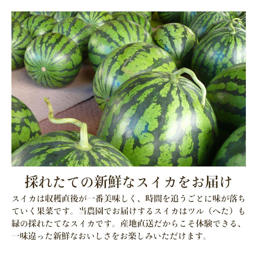 富里一番なり西瓜味比べセット5Lサイズ2玉入り | vantechnologies.com