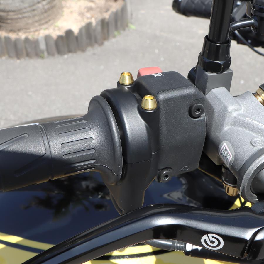 TECH-MASTER (テックマスター) Z900RS / CAFE 64チタン スロットルケース用ボルト テーパーヘッド 2本セット ゴールド BS0026 : TECH-MASTER ...