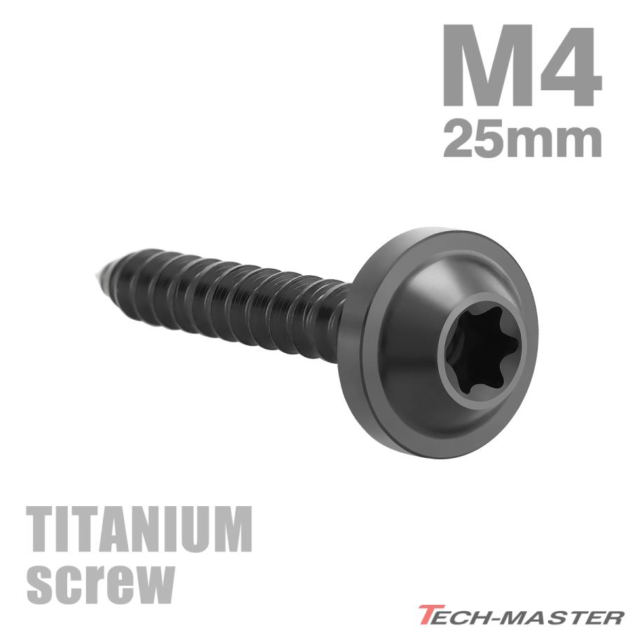 チタンネジ M4×25mm タッピングビス トルクス穴付き ブラック 1個 JA1736 : TECH-MASTER バイクテン - 通販 ...