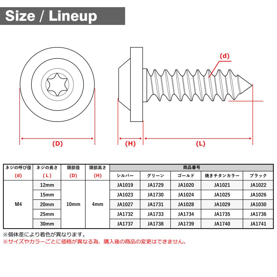 チタンネジ M4×25mm タッピングビス トルクス穴付き ブラック 1個 JA1736 : TECH-MASTER バイクテン - 通販 ...