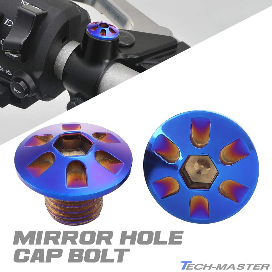 ミラーホールキャップ 正ネジ M10×10mm P1.25 2個セット ホンダ車用 デザインヘッド 焼きチタンカラー TH0126 : TECH-MASTER バイクテン - 通販 ...
