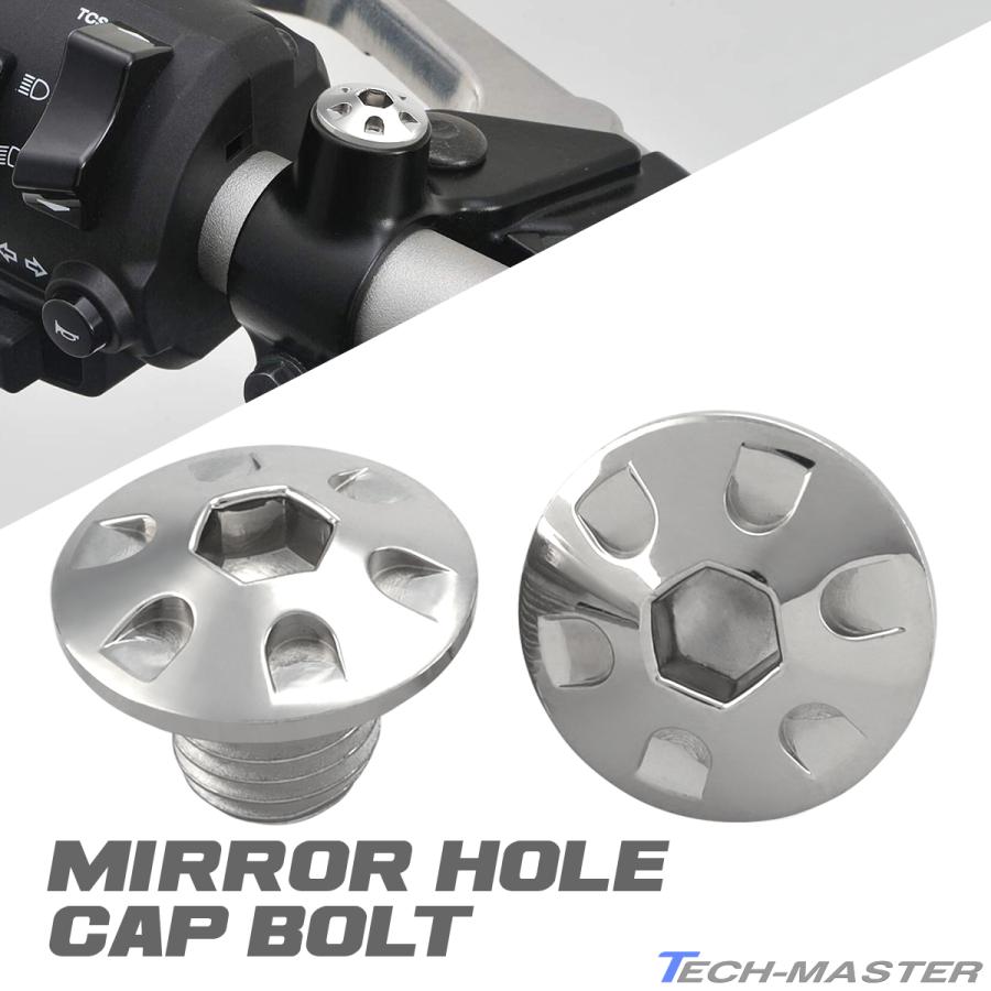 ミラーホールキャップ 正ネジ 逆ネジ M10×10mm P1.25 2個セット ヤマハ車用 デザインヘッド シルバー TH0186 ...
