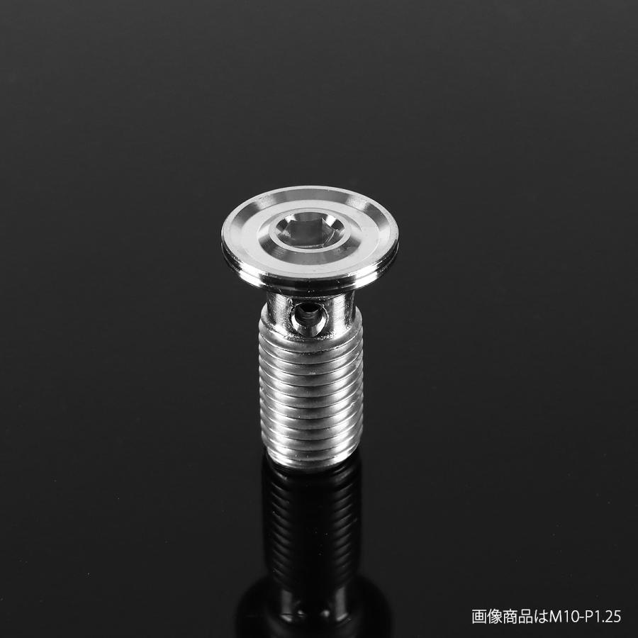 バンジョーボルト ステンレス M10 P1.25 シングル フラットヘッド マットシルバー TH0238 : TECH-MASTER バイクテン - 通販 - Yahoo!ショッピング