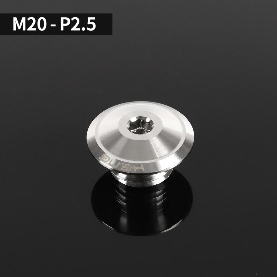 オイルフィラーキャップ M20 P2.5 汎用 ホンダ ヤマハ カワサキ等 ステンレス マットタイプ シルバー TH0279 :TH0279:TECH-MASTER バイクテン - 通販 ...
