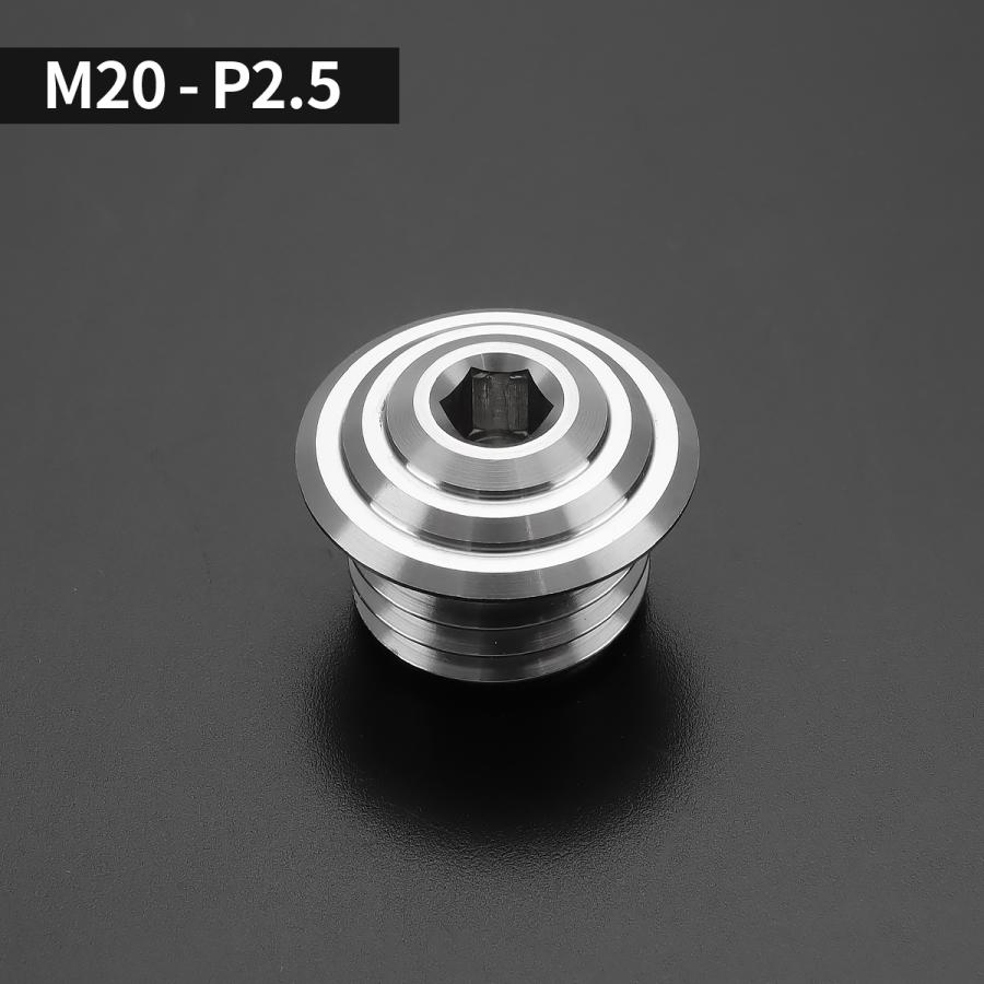 カワサキ オイルフィラーキャップ M20 P2.5 汎用 ホンダ ヤマハ カワサキ等 ステンレス マットタイプ シルバー TH0476 : TECH-MASTER バイクテン - 通販 ...
