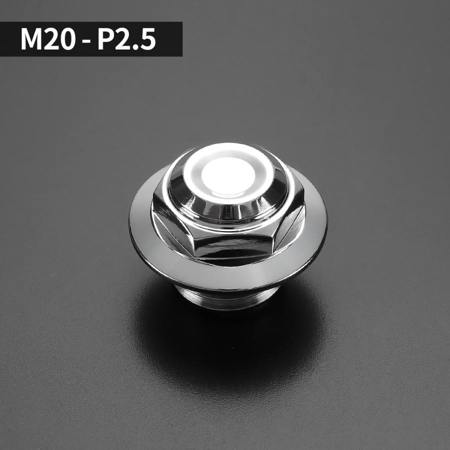 カワサキ オイルフィラーキャップ M20×P2.5mm 六角 ヘキサゴンヘッド SUS304ステンレス シルバー 汎用 ホンダ スズキ ヤマハ ドゥカティ TH0482 : TECH ...