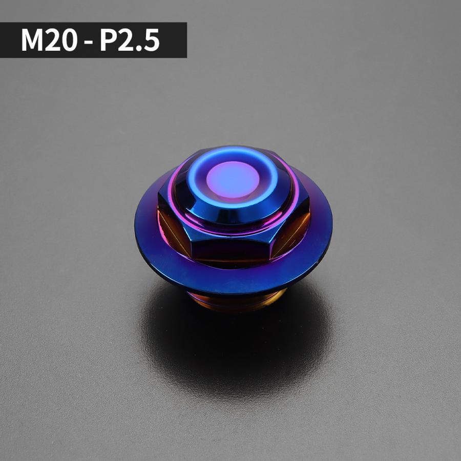 カワサキ オイルフィラーキャップ M20 P2.5 汎用 ホンダ ヤマハ カワサキ等 ステンレス 焼きチタンカラー TH0484 : TECH-MASTER バイクテン - 通販 ...