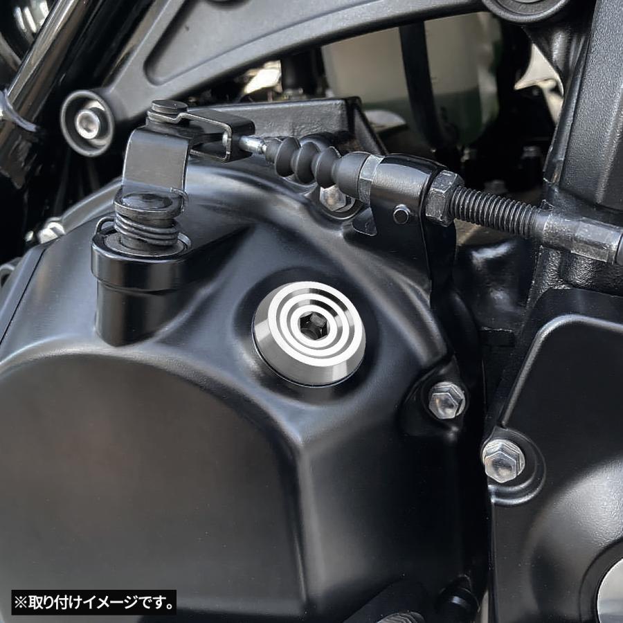 カワサキ オイルフィラーキャップ M20 P2.5 汎用 ホンダ ヤマハ カワサキ等 ステンレス マットタイプ シルバー TH0488 : TECH-MASTER バイクテン - 通販 ...