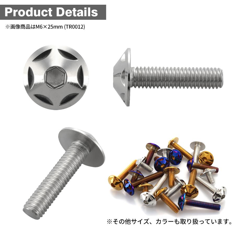 ステンレスボルト M6×20mm P1.0 ボタンボルト スターヘッド シルバーカラー TR0011 : TECH-MASTER バイクテン - 通販 - Yahoo!ショッピング