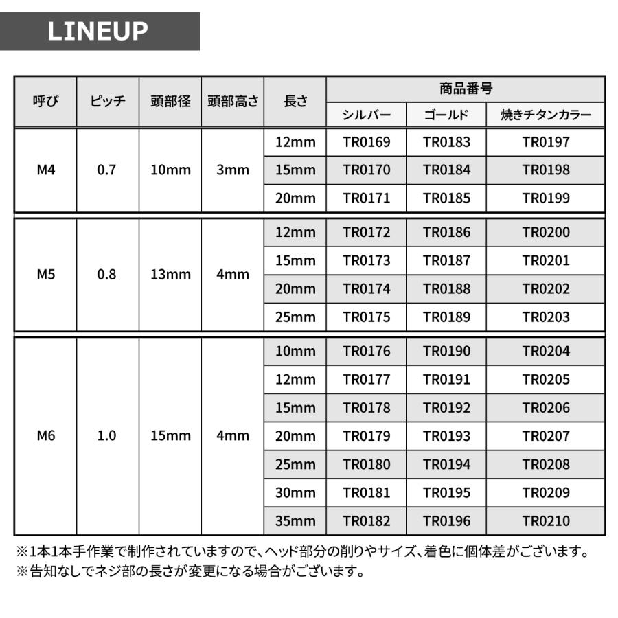 ステンレスボルト M6×25mm P1.0 ボタンボルト ステップホールヘッド シルバーカラー TR0180 : TECH-MASTER バイ ...
