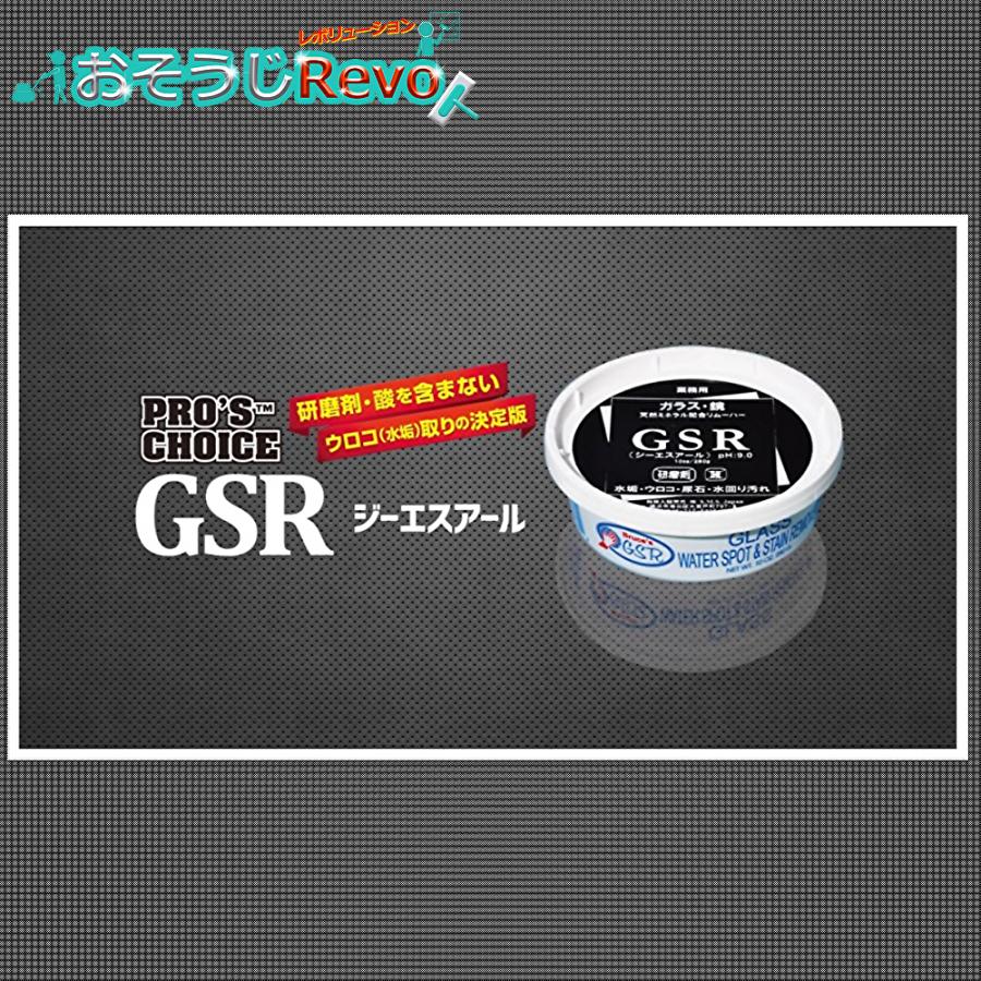 SMSジャパン 鏡・ガラスのウロコ落とし GSR ジーエスアール 280g （1個） 大特価セール 601037-JI :sms-601-12:おそうじRevo - 通販 - Yahoo!ショッピング