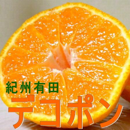 有田の デコポン 約5kg 大玉 15〜16個入り 和歌山産 JA品|ありだ プレゼント ギフト 凸ポン しらぬひ しらぬい : 京の老舗の ...