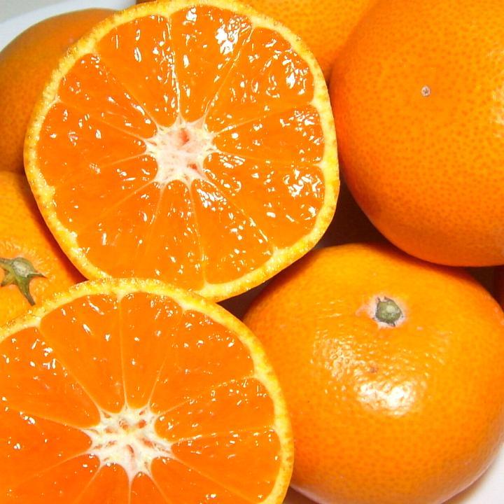 訳あり 田村みかん たむらみかん 約10kg サイズはお任せです 2S〜M 送料無料 和歌山産 紀州有田| 自宅用 蜜柑 お徳用 わけあり : tamuramikan-w10kg : 京の老舗 ...