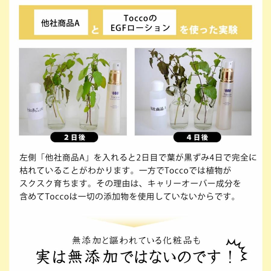 Tocco プレミアムEローション 100ml EGF オールインワン 美容液 完全無添加 防腐剤 アルコール エタノール フリー 化粧水 スキンケア エイジングケア 保湿 : Tocco化粧 ...