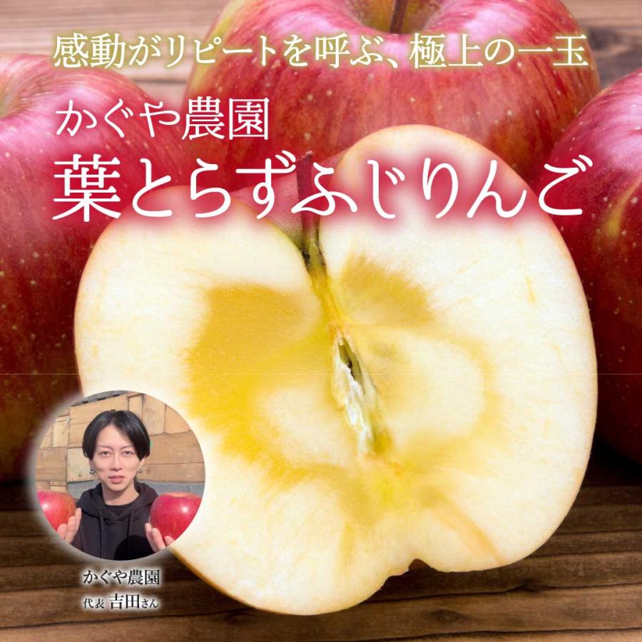 青森県産訳あり葉とらずふじりんご3kg(6〜12玉)かぐや農園 : 東北ハッピー農園 - 通販 - Yahoo!ショッピング