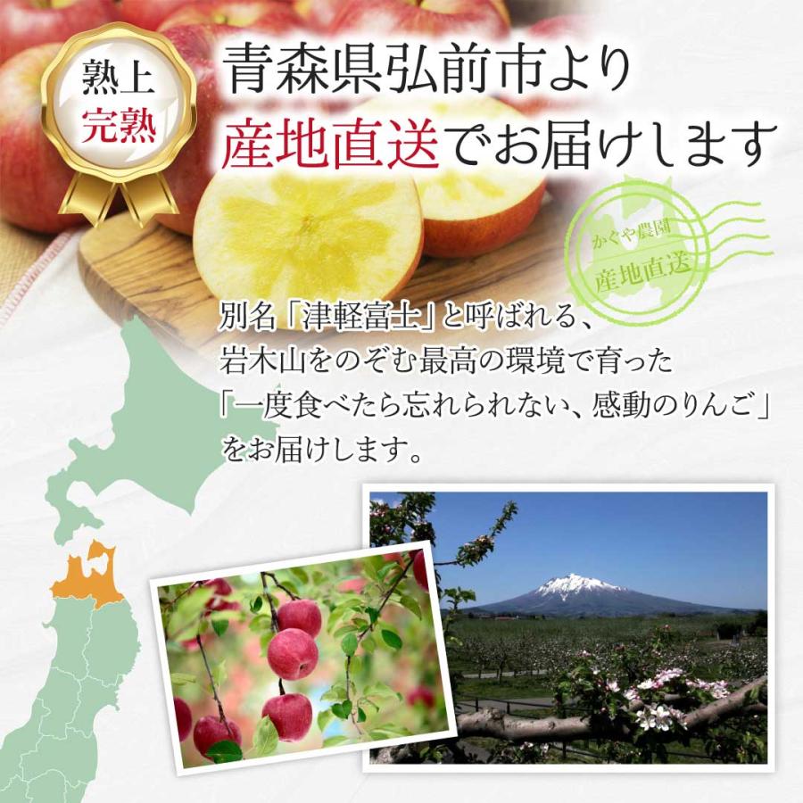 青森県産訳あり葉とらずふじりんご3kg(6〜12玉)かぐや農園 : 東北ハッピー農園 - 通販 - Yahoo!ショッピング