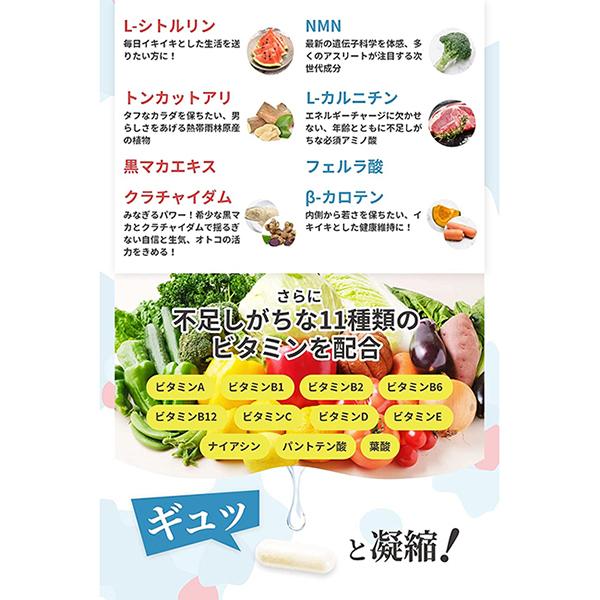 妊活 サプリ 男性 SoDaNe ソダネ 90粒 30日分 日本製 亜鉛 マカ NMN コエンザイム Q10 活力 精子 精育 アルギニン テストフェン シトルリン カルニチン 蘇種 ...
